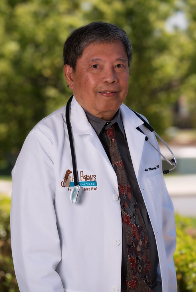 Our Team | All Paws Riverside Animal Hospital